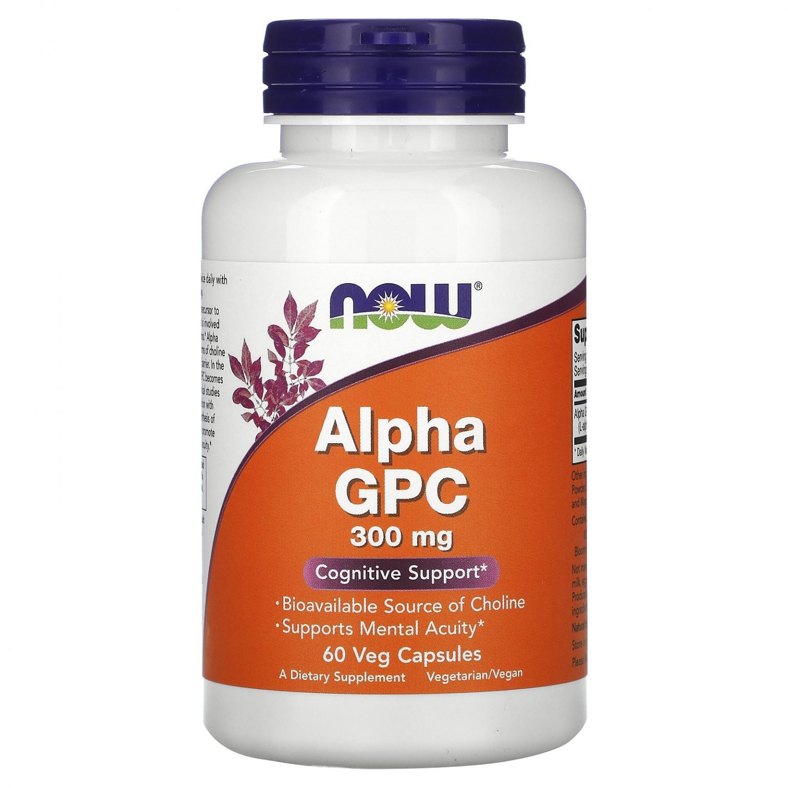 NOW Supplement's Alpha GPC with Bioavailable Source of Choline | Longevity