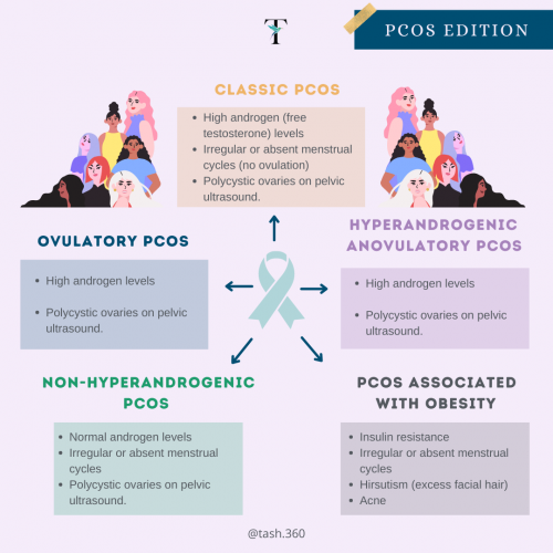 Dermatologist Explains Link Between PCOS and Your Skin | Longevity