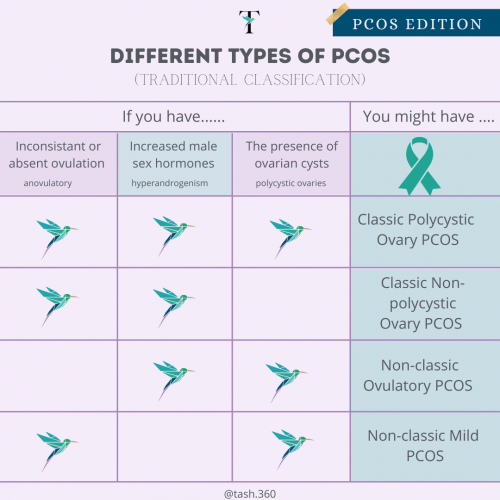 Dermatologist Explains Link Between PCOS and Your Skin | Longevity