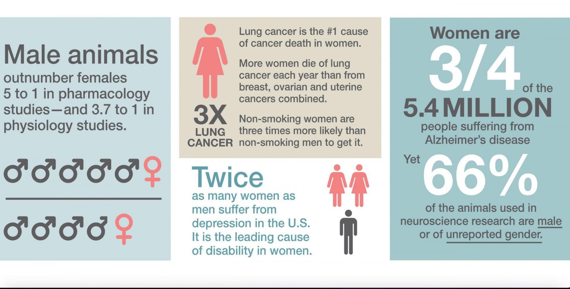 Women's Health Week Must Focus On Research - Longevity LIVE